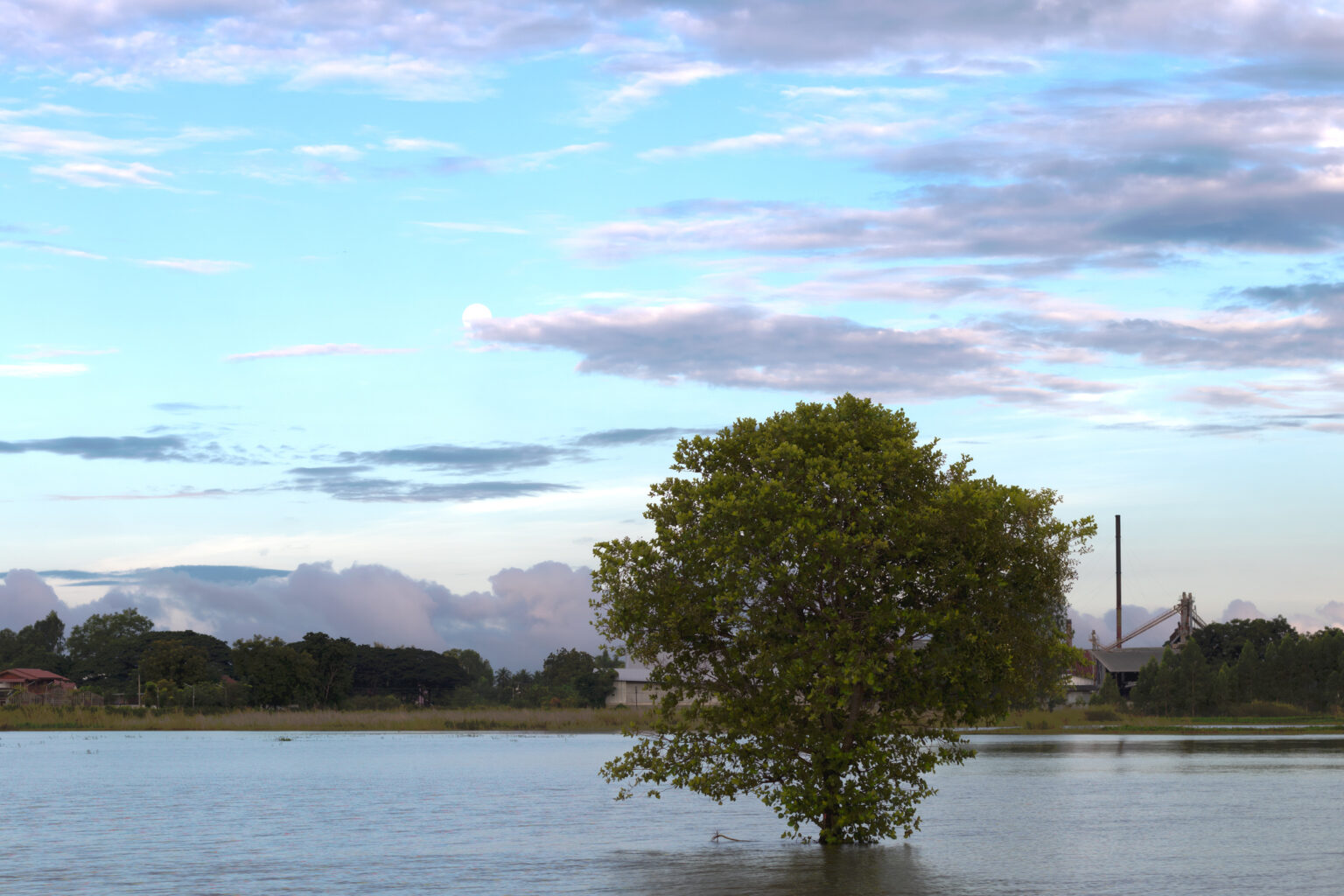 A New Guide to Community Psychosocial and Mental Health Response and ...