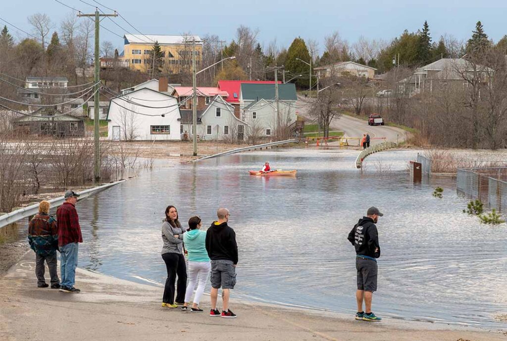 We are celebrating community resilience! - PolicyWise for Children ...